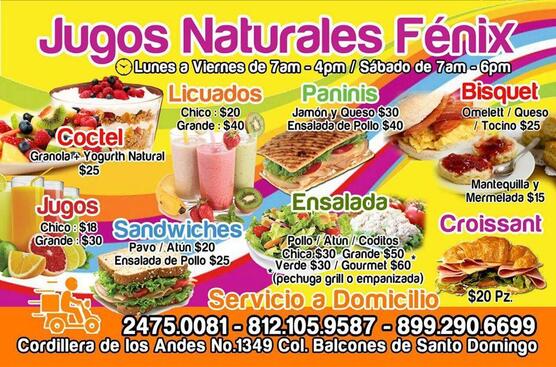 Menu at Jugos naturales "Fenix", Monterrey