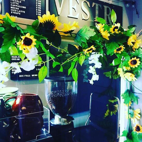 Menu at Vestry Cafe at Prema Arts Centre, Dursley