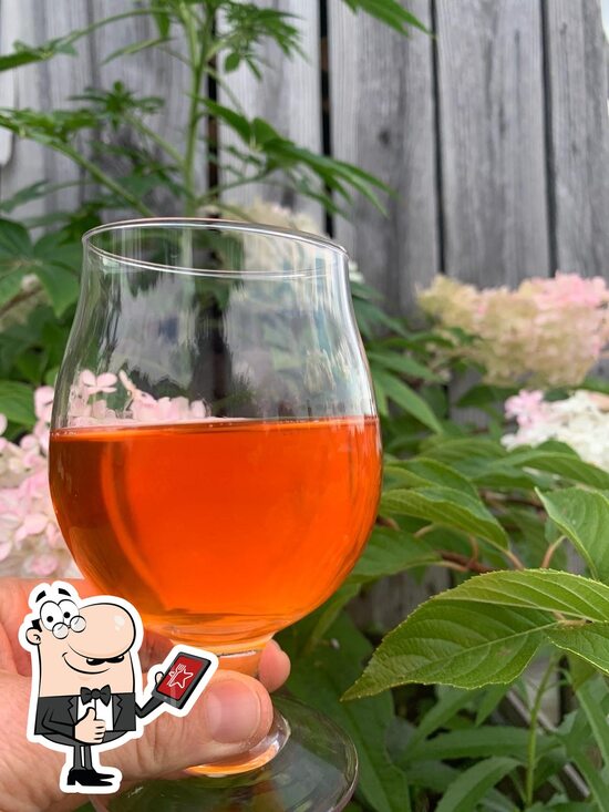 Red Balloon Cider in Emmaus - Restaurant reviews