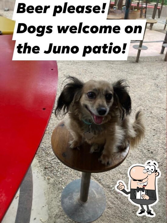 Menu at Juno pub & bar, Albuquerque