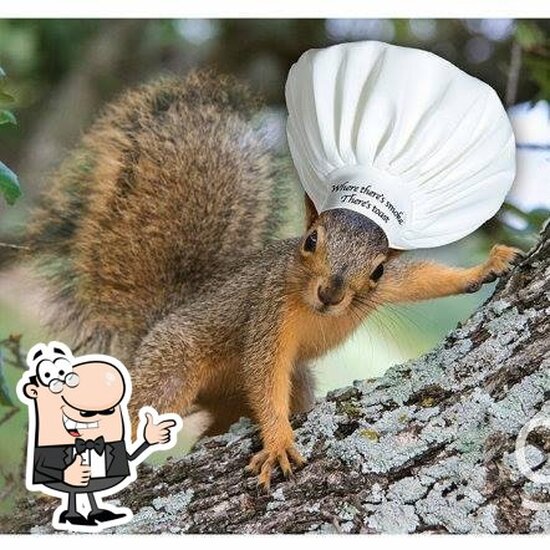 Group Project-Squirrelly's in Menomonie