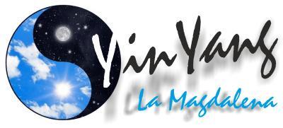 YIN YANG, León - Menú del restaurante, precios y reseñas
