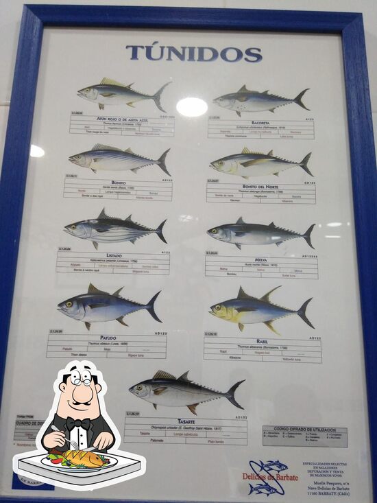 Pescadería "El Bigote" in Sanlúcar de Barrameda - Restaurant reviews