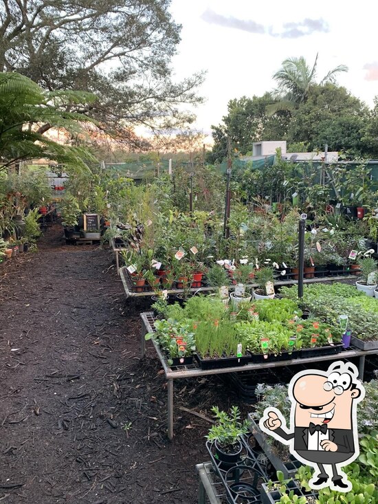Everything Good, Glass House Mountains - Restaurant menu, prices and ...