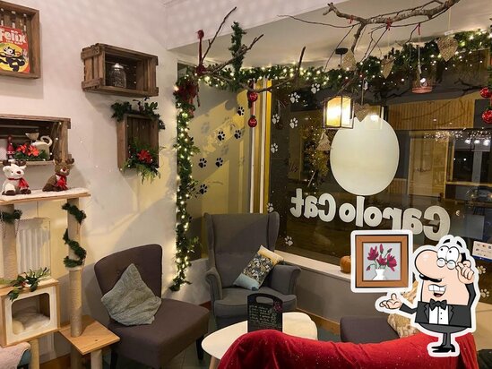 Le Carolo Cat, Charleroi - Menu du restaurant, prix et avis