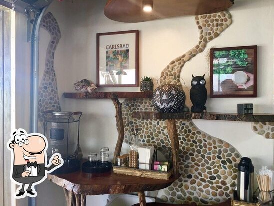 Succulent Cafe, Carlsbad - Restaurant menu, prices and reviews
