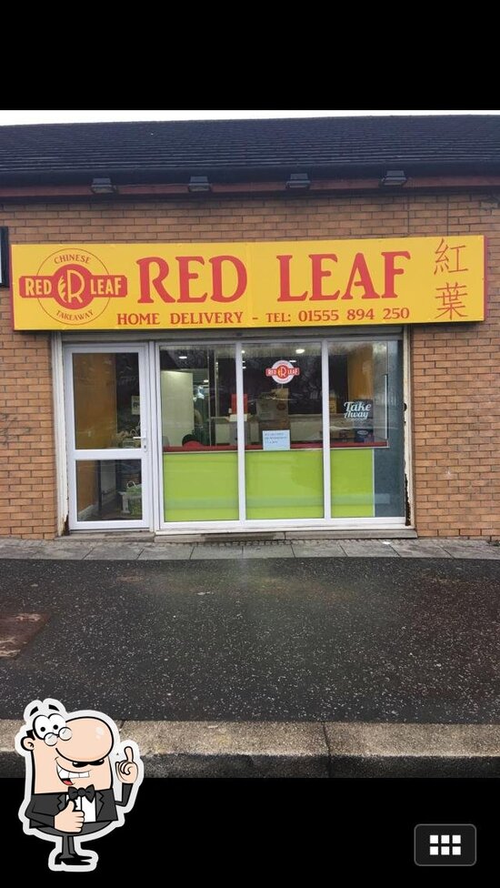 RED LEAF Chinese Take Away, Kirkmuirhill - Restaurant menu, prices and ...