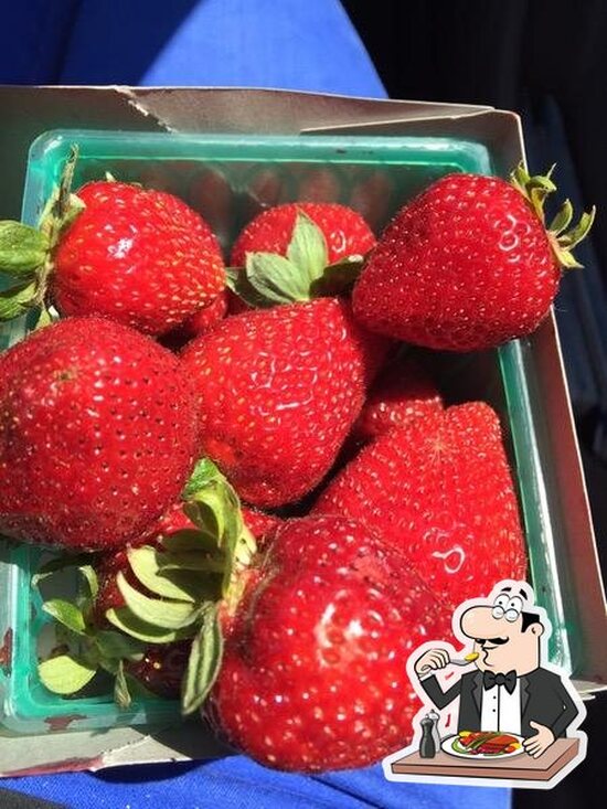 Strawberry Stand in Petaluma