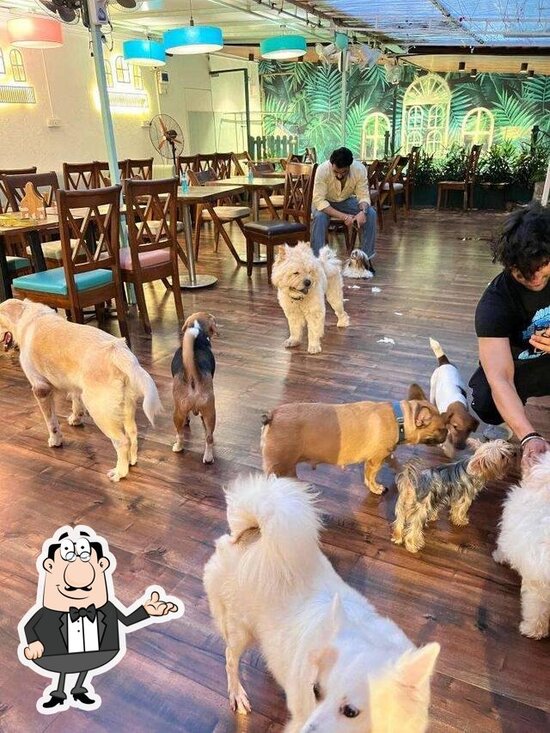 Ohh My Dog Pefe, Mumbai - Restaurant menu, prices and reviews