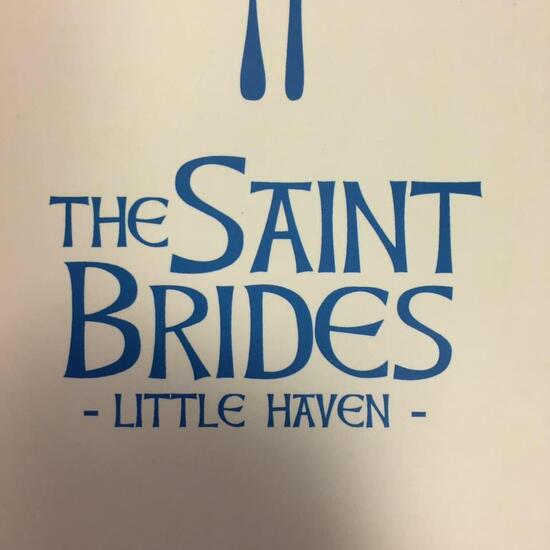 Menu at St. Brides Inn pub & bar, Little Haven