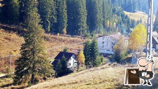Hotel Codrin, Vatra Dornei - Restaurant reviews