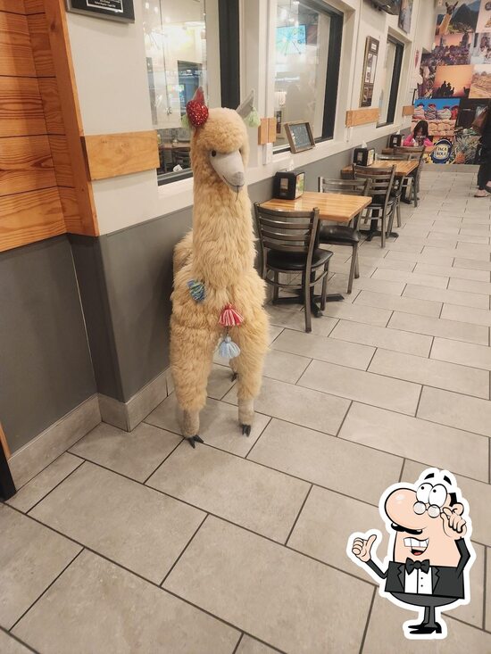 Alpaca Peruvian Charcoal Chicken, Raleigh - Restaurant menu, prices and ...
