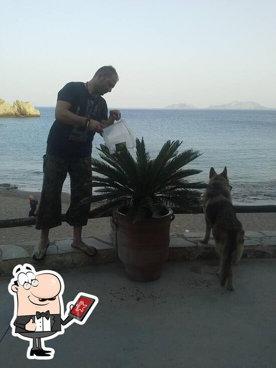 Scopas Café Beach Bar, Agios Pavlos - Restaurant reviews