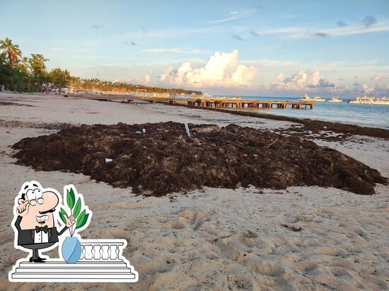 Blue Wave restaurant, Punta Cana - Restaurant reviews