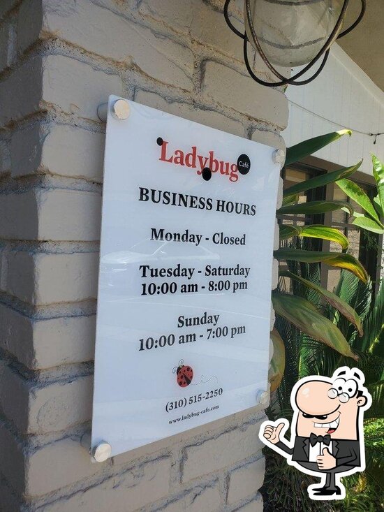 Menu at Ladybug Café restaurant, Gardena, S Western Ave