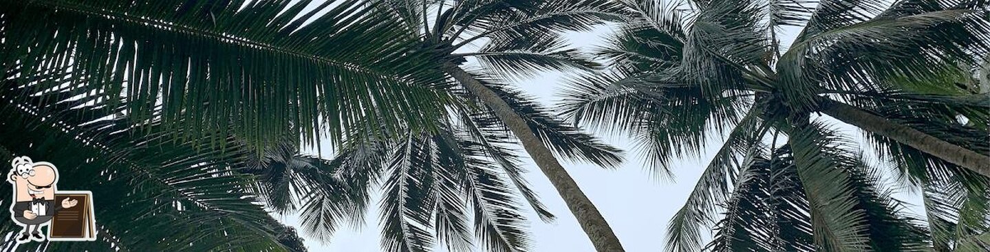 Under The Palm Tree, Istanbul