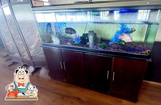 Beijing Chinese Restaurant, Benoni, Gauteng - Chinese restaurant menu ...