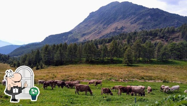 Agriturismo Malga Mortirolo ristorante, Monno - Recensioni del ristorante