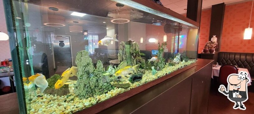 House Of Chou, Woodbridge - Restaurant menu, prices and reviews