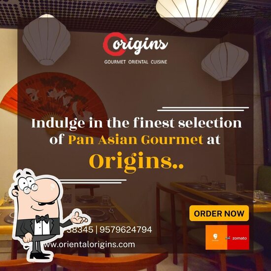 Origins Oriental, Pune - Restaurant menu, prices and reviews