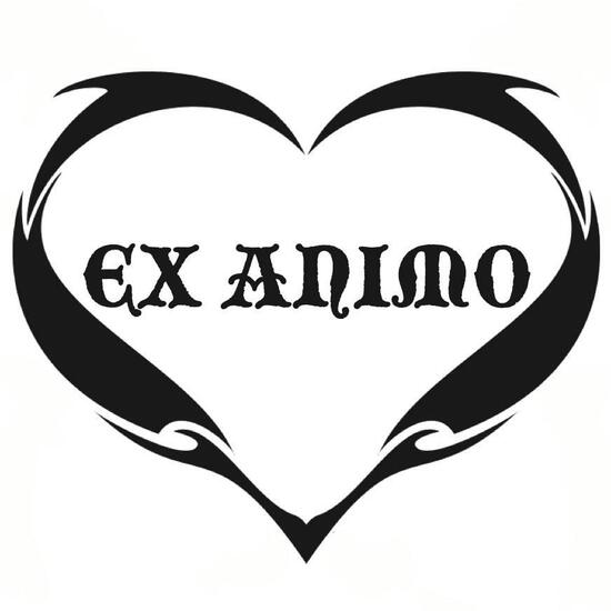 Ex Animo Paris, Paris