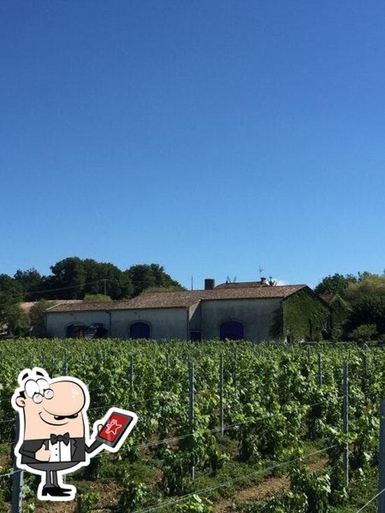 Château Roc de Calon, Montagne