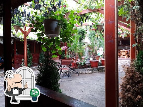 Terasa Rustic, Săveni - Restaurant reviews