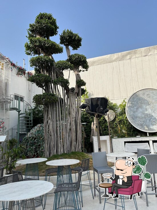 THE BIG TREE CAFE, Jaipur - Restaurant reviews
