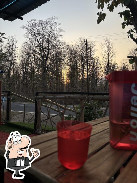 Jungle bites - Restaurant menu, prices and reviews