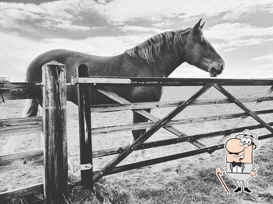 The Suffolk Punch Trust in Hollesley - Restaurant reviews