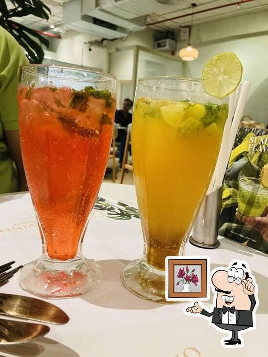 Van Lavino, Hyderabad - Restaurant menu, prices and reviews
