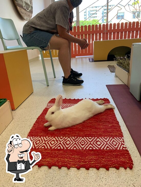 The Bunny Cafe in Vancouver - Restaurant reviews
