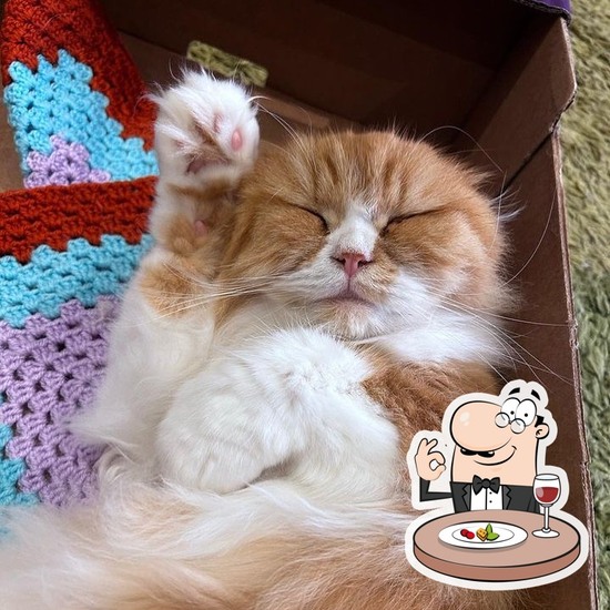 The Pawsome Cat Cafe, Durham - Restaurant menu, prices and reviews