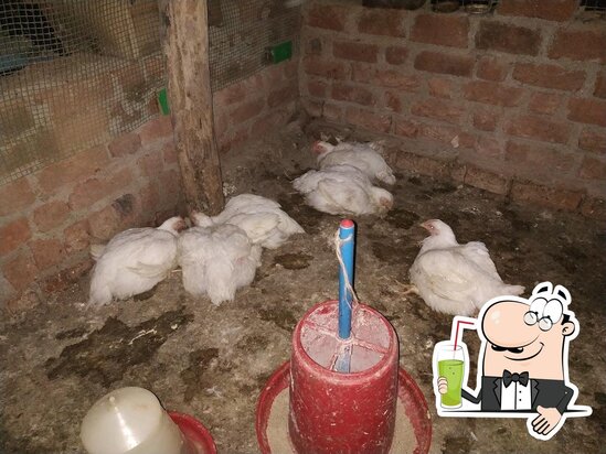 Fresh chicken and egg store - Restaurant menu, prices and reviews