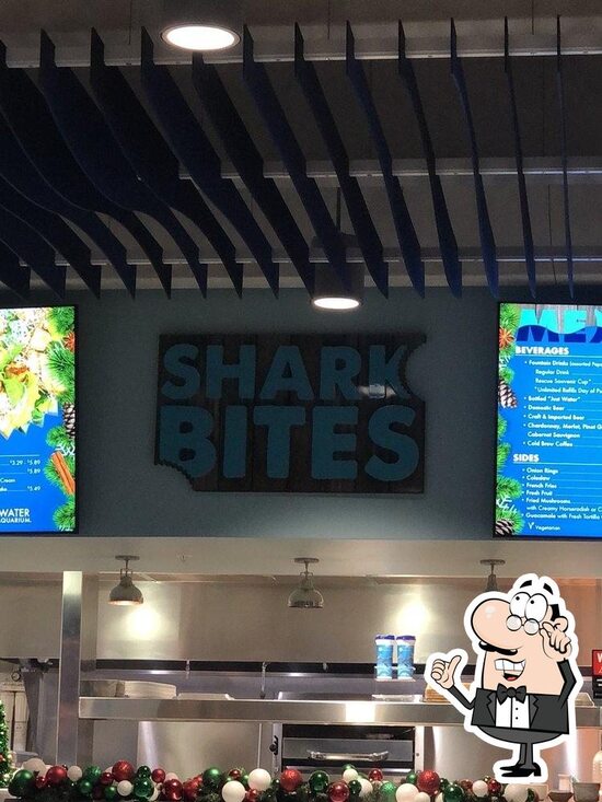 Menu at Shark Bites Cafe, Clearwater