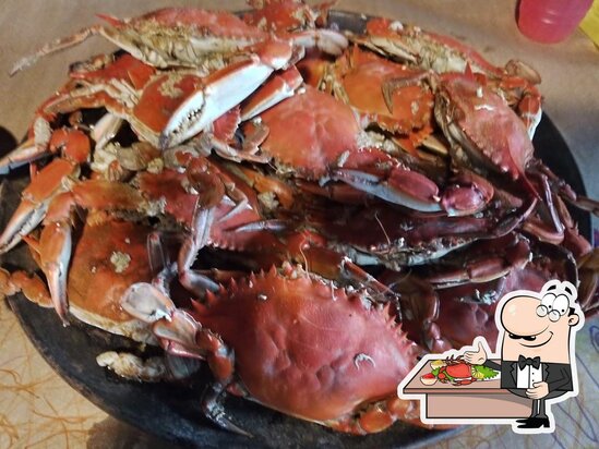 Crocodile Rocks, 1318 Celebrity Cir CS3 in Myrtle Beach - Restaurant ...