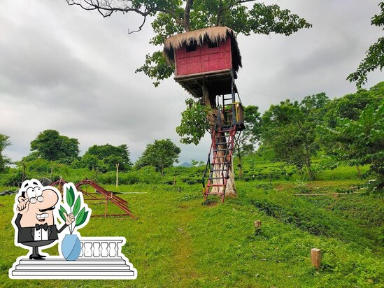Tree house Restaurant Dimakuchi, India - Restaurant reviews
