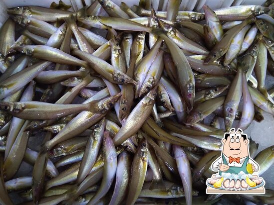 Tangasseri Fish Stall, Kollam - Restaurant menu, prices and reviews