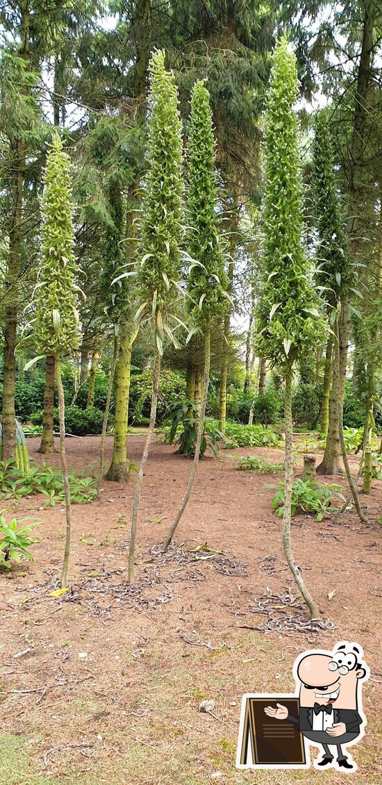 Priory Maze And Gardens in Sheringham - Restaurant reviews