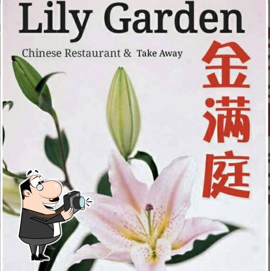 Menu at The Lily Garden Chinese Restaurant, Edenderry