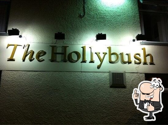 Menu at The Hollybush pub & bar, Treharris, Llwyncelyn Terrace