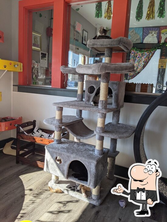Caffeinated Cat in Jacksonville Beach - Restaurant menu and reviews