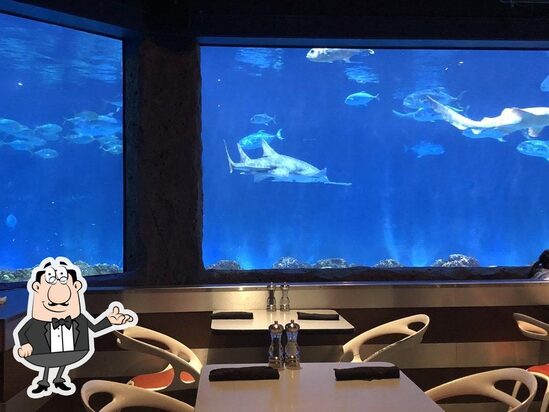 Menu at Sharks Underwater Grill pub & bar, Orlando