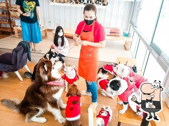 Carta de Smile Dog Cafe คาเฟ่หมาเชียงใหม่, Chiang Mai