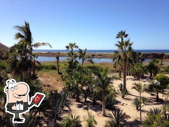 Posada La Poza restaurant, Todos Santos - Restaurant reviews