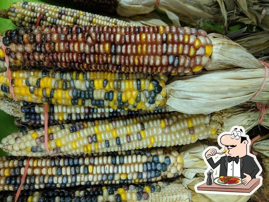 Tanner Brothers Dairy in Warminster - Restaurant reviews