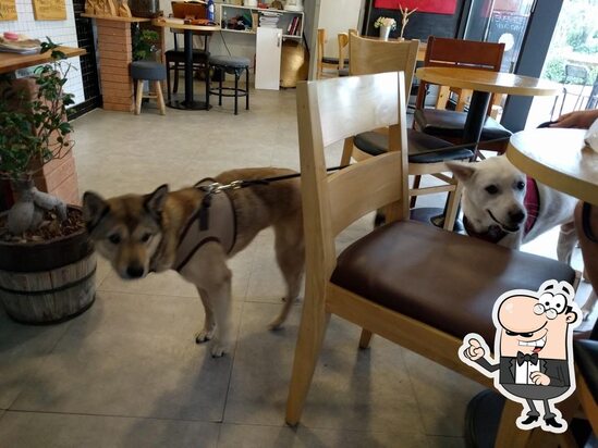 Meraki Cafe, Seoul - Restaurant reviews