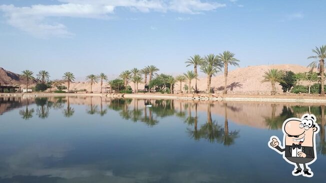 Menu at Timna Park Restaurant, Hevel Eilot Regional Council