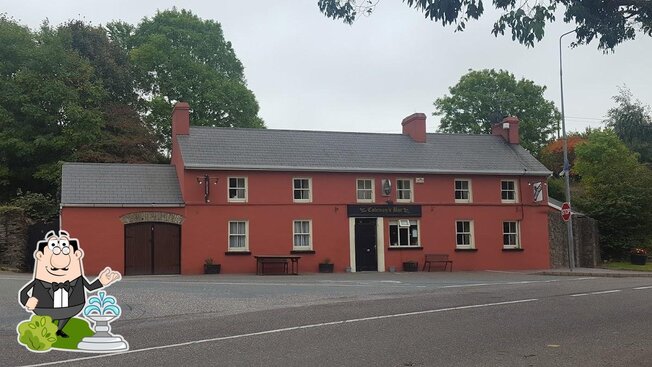 Coleman's Bar, Belgooly - Restaurant menu, prices and reviews