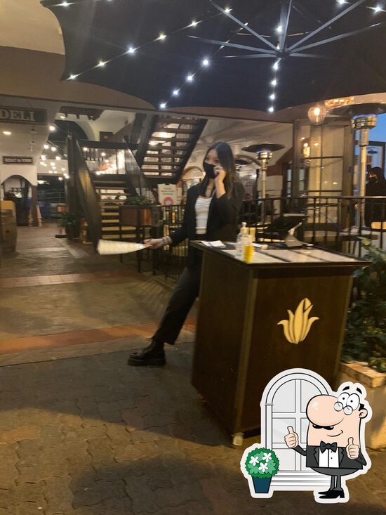 Menu at Sol Agave - San Clemente restaurant, San Clemente